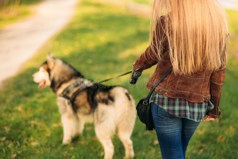 Blonde Girl Walking With Husky God. Back View Picture. Image: 115564837