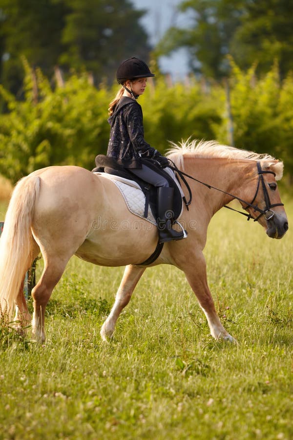 Blonde Jugendlich Fahrt Das Pony Stockbild - Bild von mädchen, himmel ...