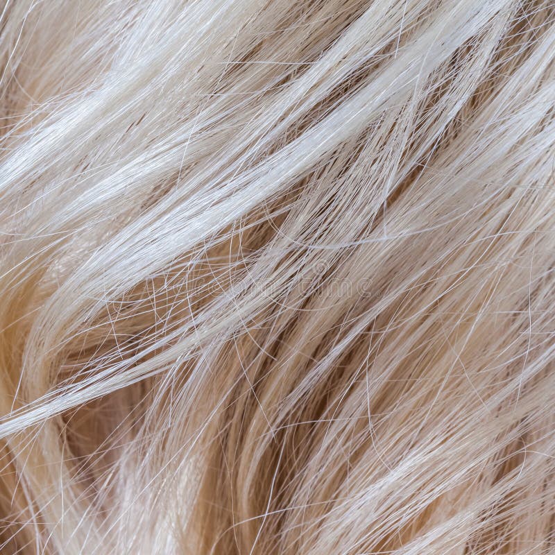 1 797 Blonde Hair Blond Hair Texture Photos Free And Royalty Free Stock