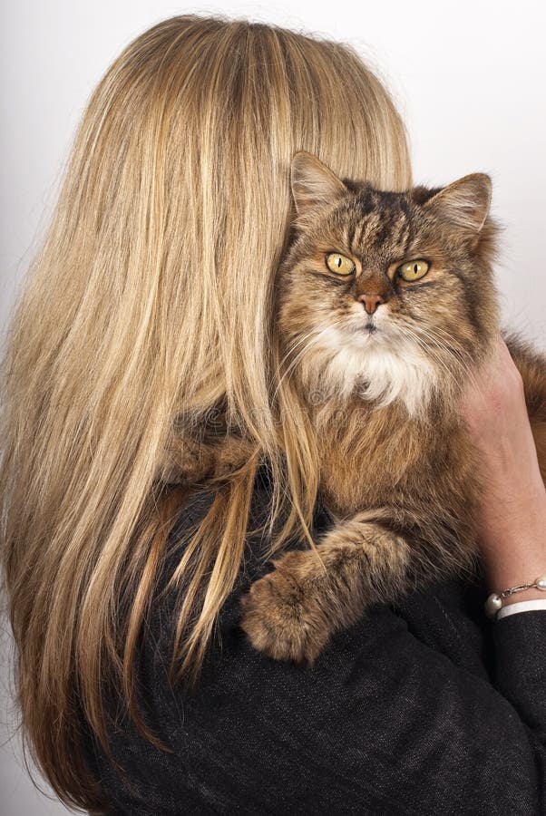 Blonde Woman Holding Brown Tabby C Stock Photo - Image of home, adult ...