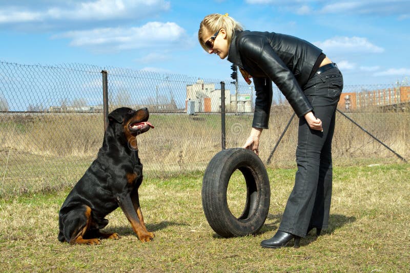 How To Train Rottweiler Obedience