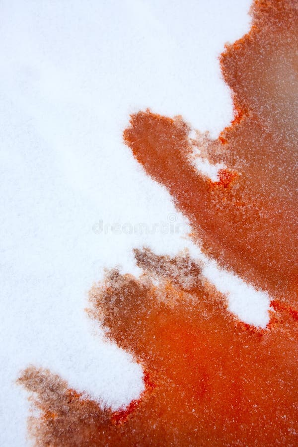Blood on the snow stock image. Image of blood, dramatic - 12267205