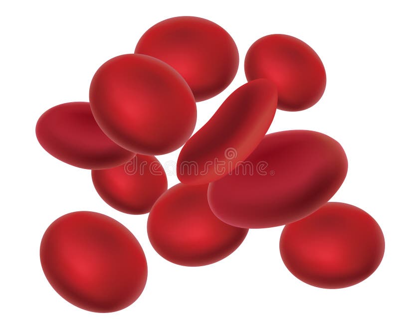 Set Red Blood Cell Isolated on White Background, Erythrocyte Model, 3D ...