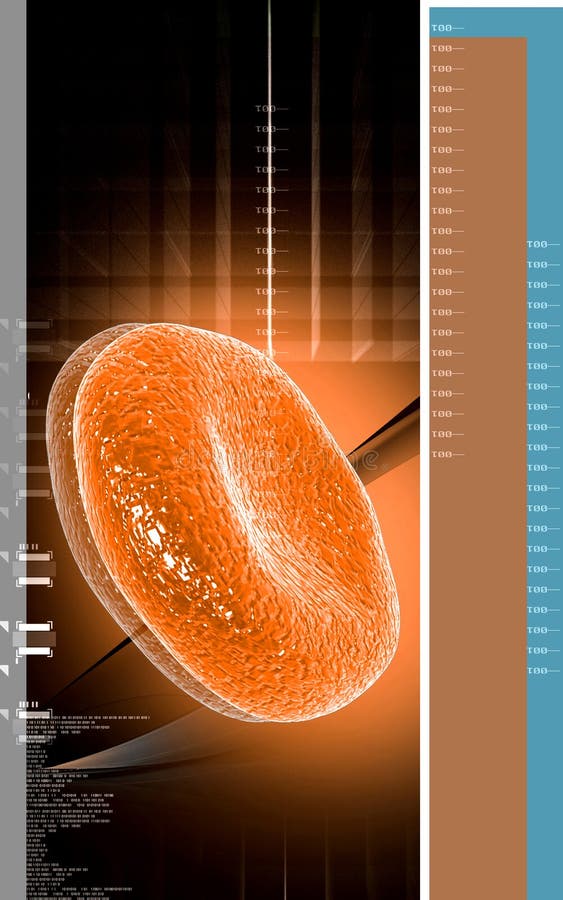 Wbc Cell Stock Illustrations – 265 Wbc Cell Stock Illustrations ...