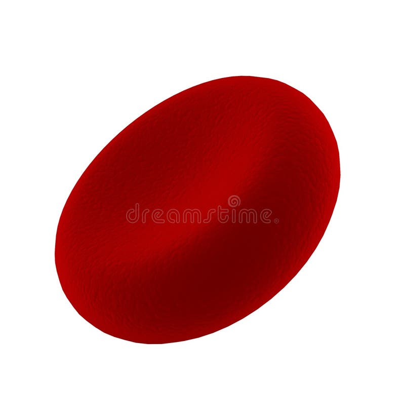 One Single Blood Cell Isolated on White Stock Illustration ...