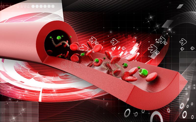 Rbc Cell Stock Illustrations – 476 Rbc Cell Stock Illustrations ...