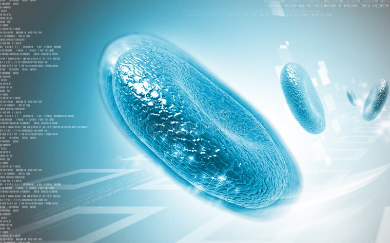 Rbc Cell Stock Illustrations – 476 Rbc Cell Stock Illustrations ...