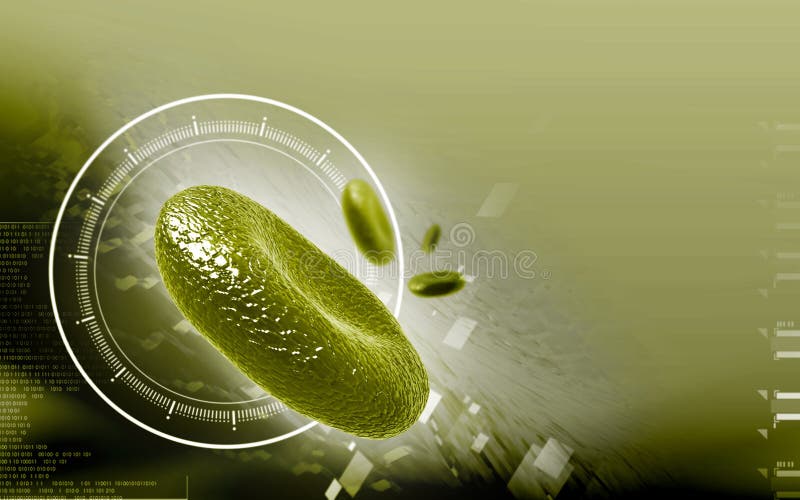 Rbc Cell Stock Illustrations – 476 Rbc Cell Stock Illustrations ...