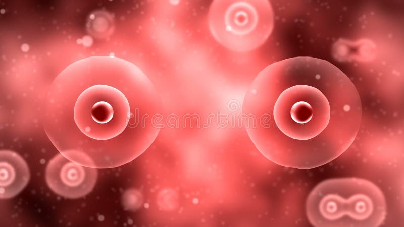 Blood Cell Division Process Stock Video - Video of micro, biology ...