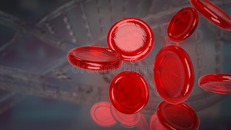 The Blood Cell for Medical or Education Concept 3d Rendering Stock ...