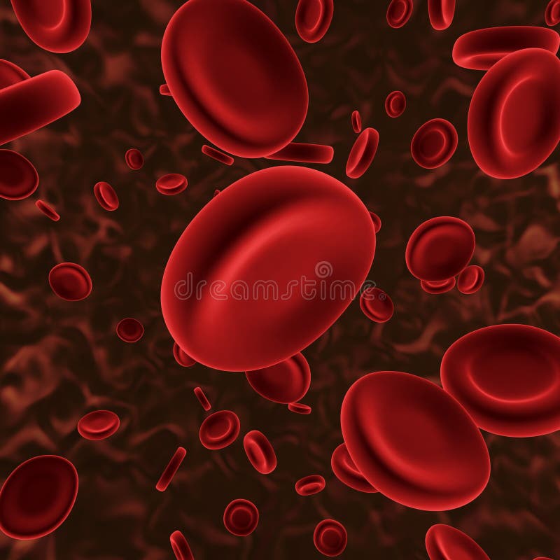 Red blood cells stock image. Image of microbiology, magnification ...