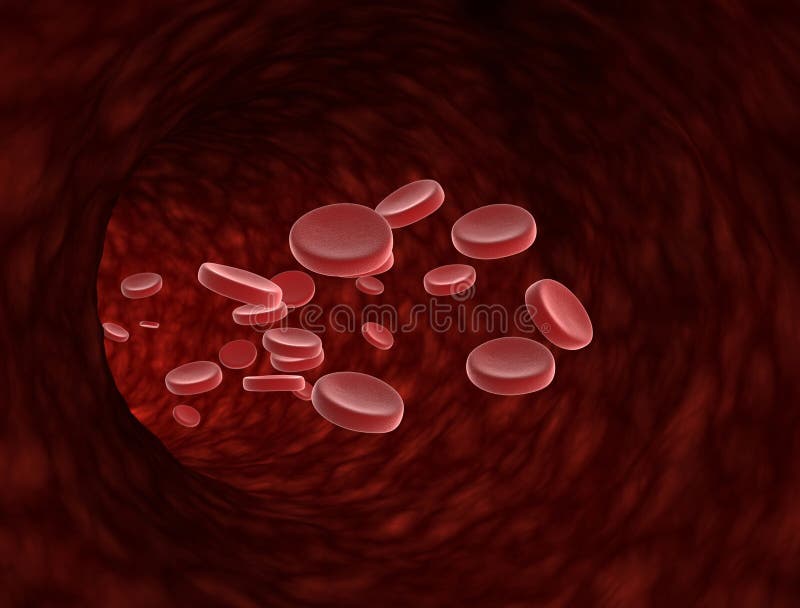 Blood cells stock illustration. Illustration of live, round - 1486574