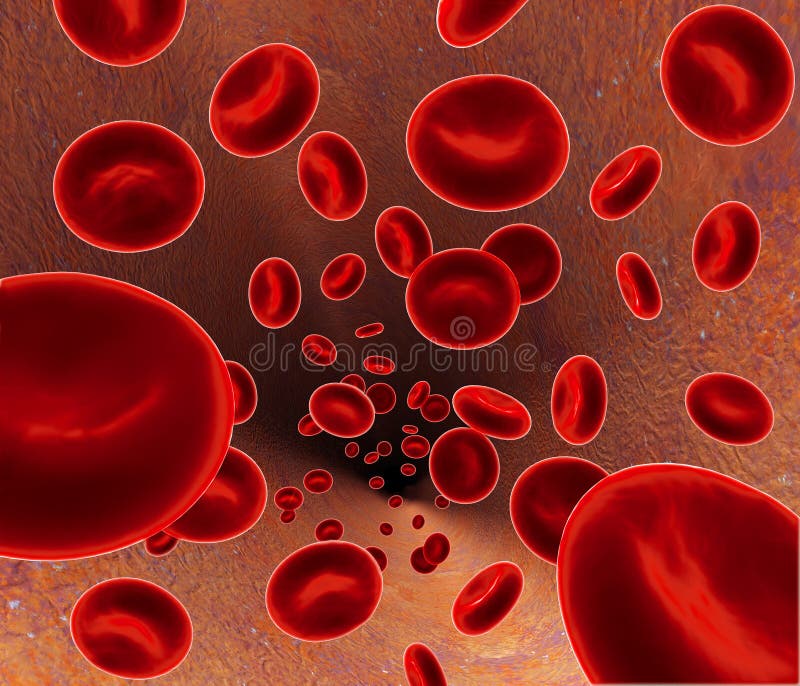 Blood cells stock illustration. Illustration of system - 11897751