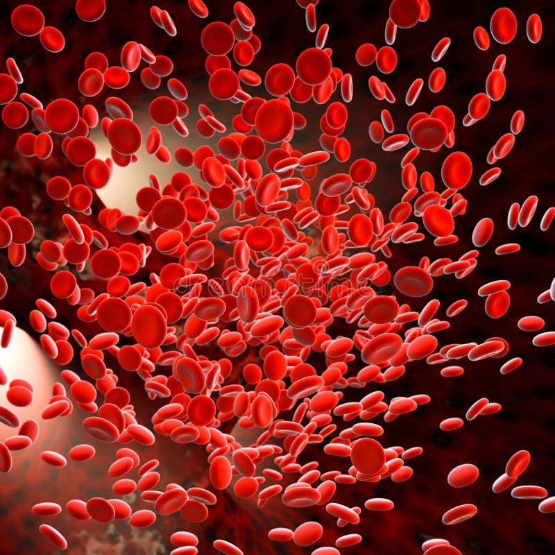Blood cells stock illustration. Illustration of circulatory - 13646976