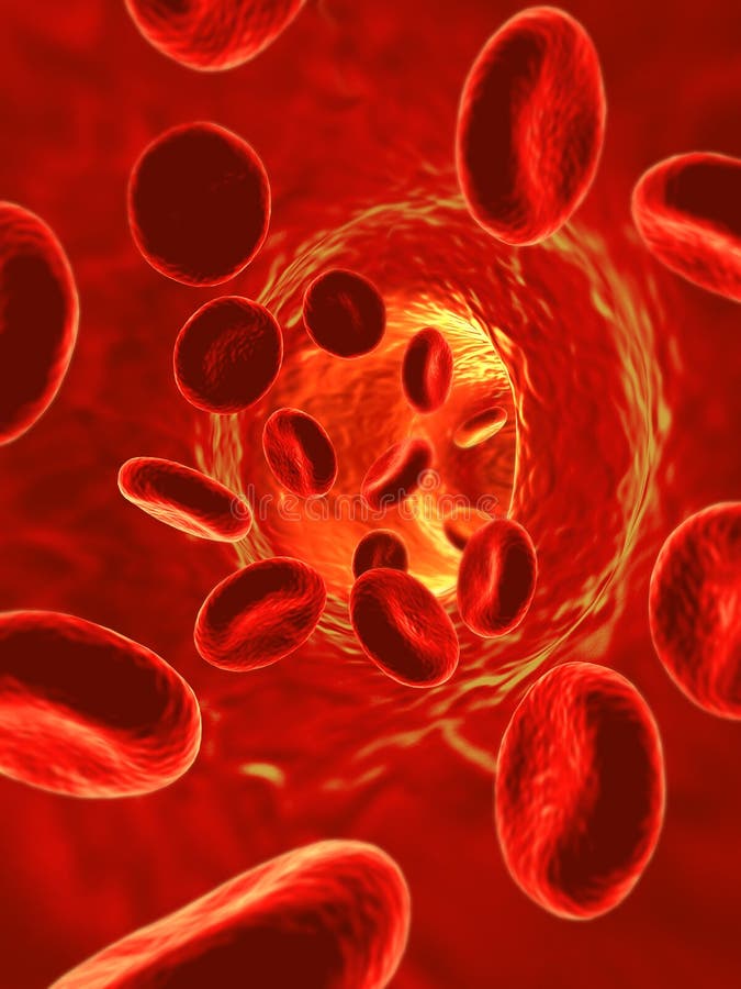 Red blood cells flowing stock illustration. Illustration of anatomy ...
