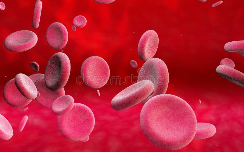 Blood Cells through Microscope Stock Illustration - Illustration of ...