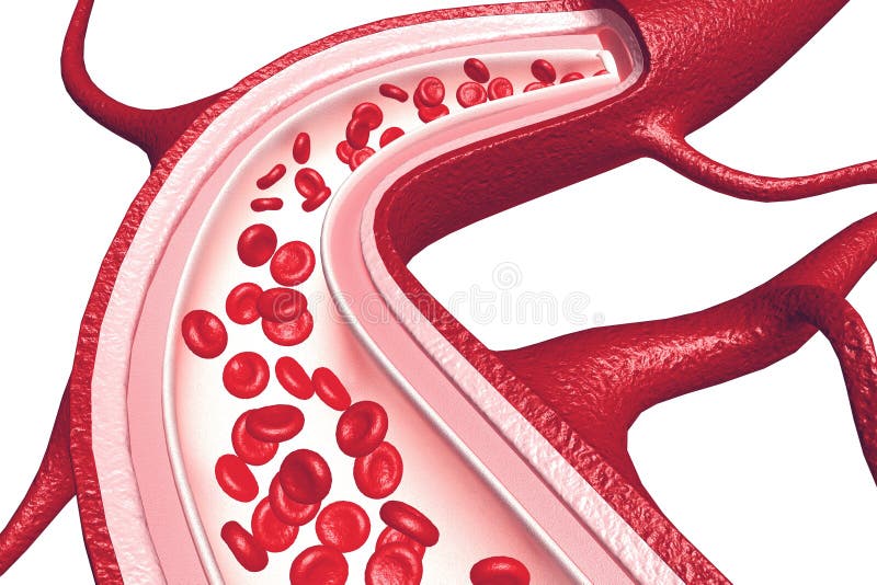 Blood cells in an artery stock illustration. Illustration of plasma ...
