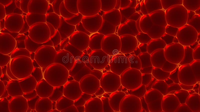 Blood Cells or Bacteria Under Microscope Stock Illustration ...