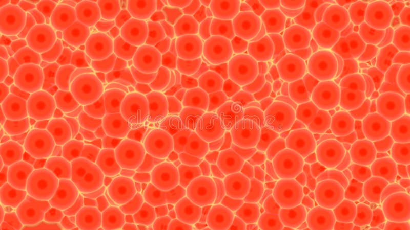 Blood Cells or Bacteria Under Microscope Stock Image - Image of ...
