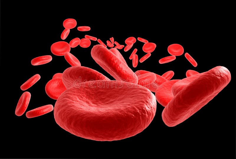 Platelet Isolated Stock Illustrations – 528 Platelet Isolated Stock ...