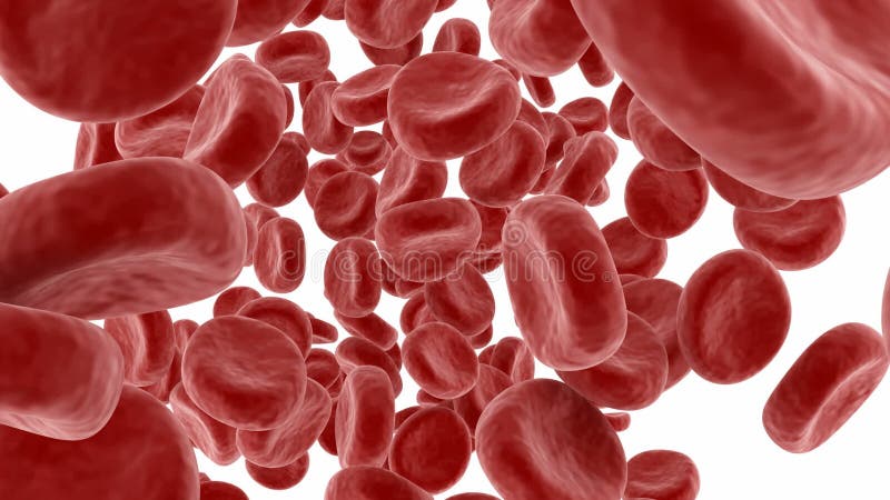 Platelet and Thrombocyte Anatomy Concept and Activated Platelets Stock ...