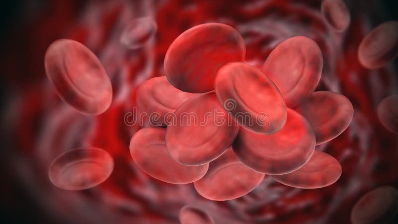 Blood Cells Inside the Vein. 3D Illustration Stock Illustration ...