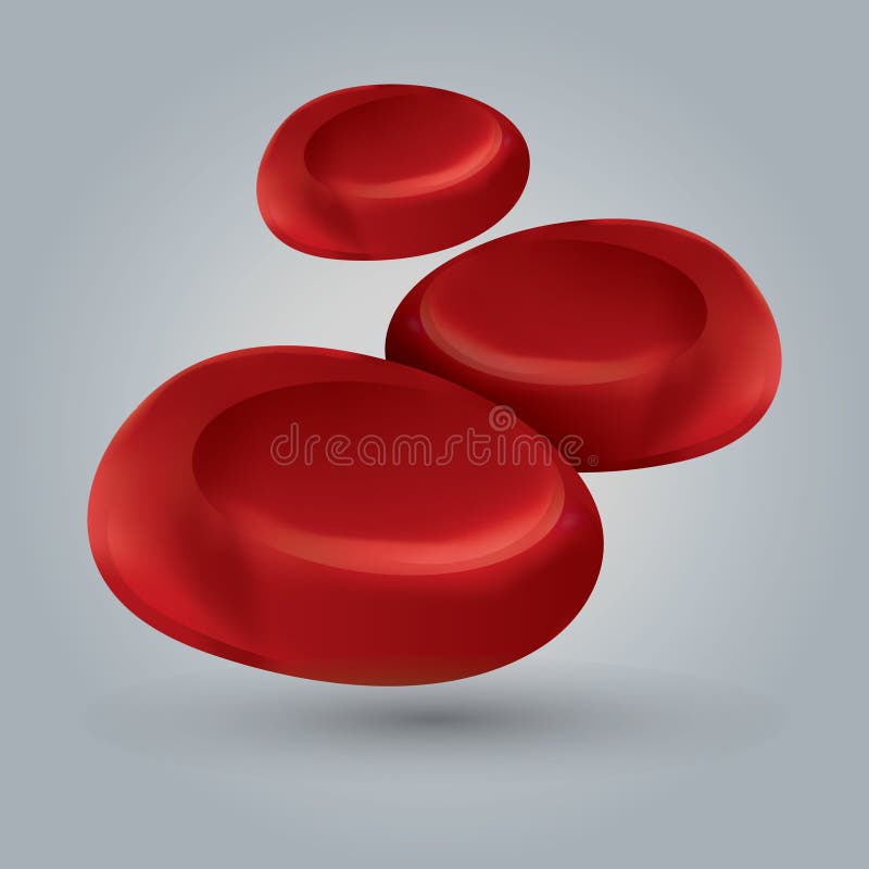 Blood Cells. Vector Illustration Decorative Design Stock Vector ...
