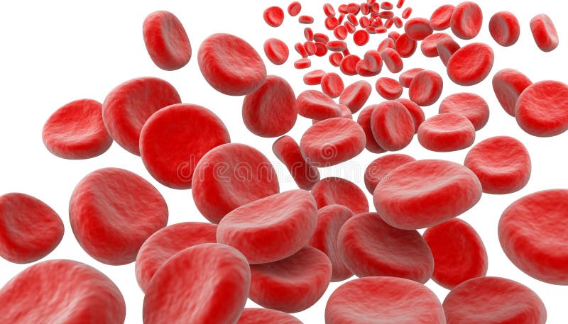 Blood Cells On White Background Stock Photo - Image: 13752240