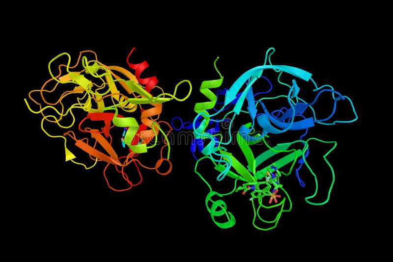 Tissue Factor (TF, Extracellular Part) Protein. Essential in Extrinsic ...