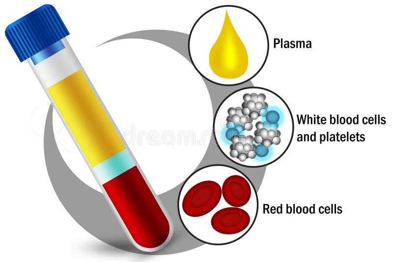 Blood Components of Red Blood Cells, White Blood Cells, Platelets and ... Blood Components of Red Blood Cells, White Blood Cells, Platelets and ...