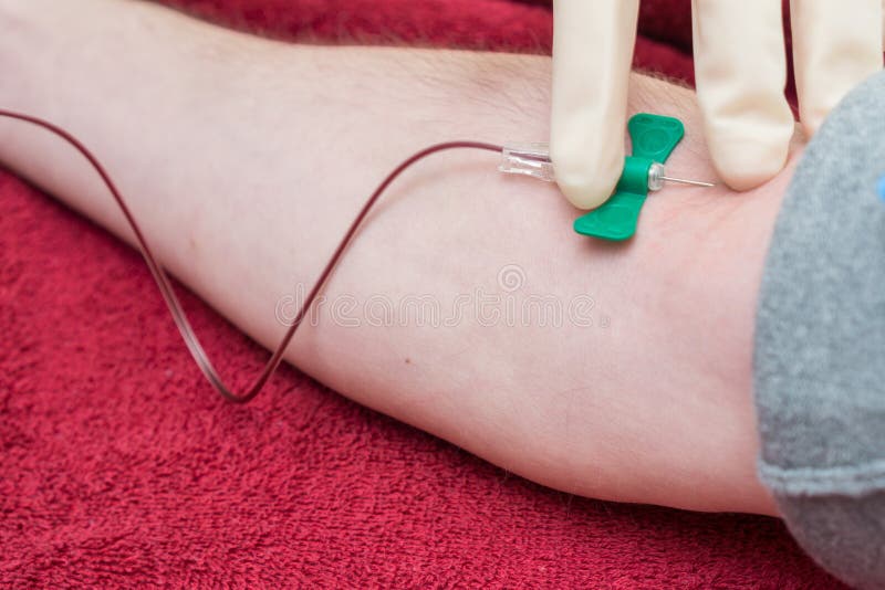 Blood being drawn stock image. Image of exam, doctor, nurse - 2040391