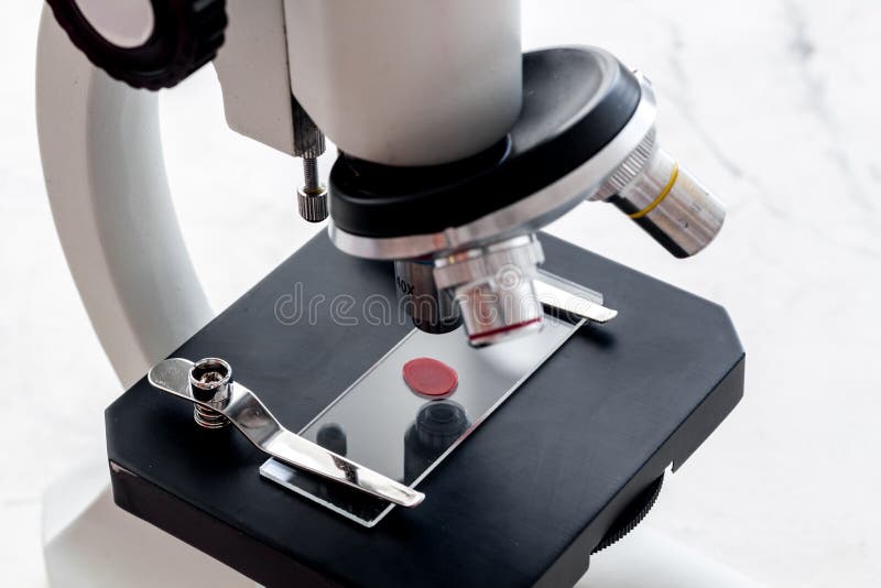 Blood Drop Under Microscope on White Background Stock Image - Image of ...