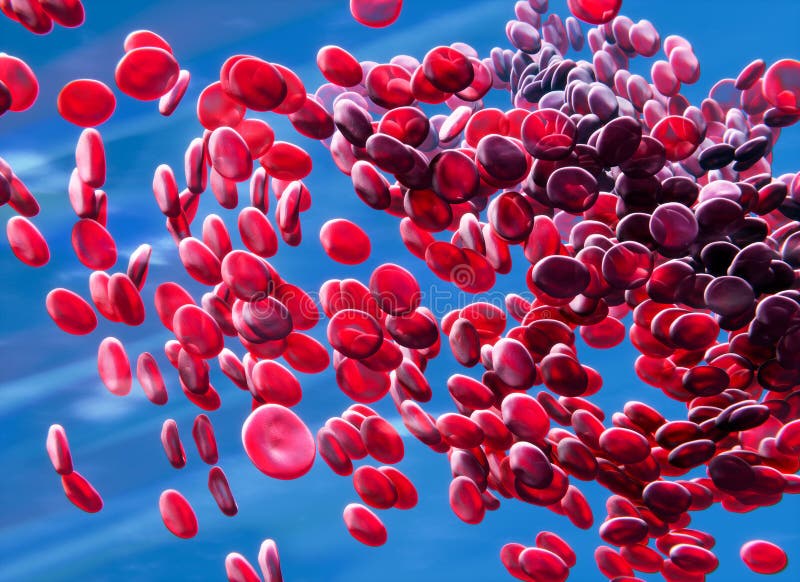 Hands by Scanning a Tube Barcode Label for Tracking Blood Sample Stock ...