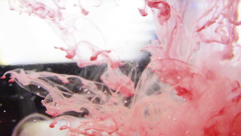 Red Blood in Water. Abstract Watercolor Paint Splash in Water. Ink ...