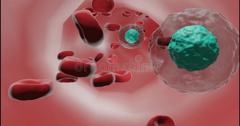 Blood Flow in a Vessel, 3D Animation Stock Footage - Video of vessels ...
