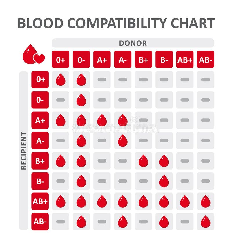 Blood Group Compatibility Table Stock Vector - Illustration of medical ...