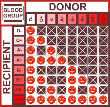 Blood Types Compatibility Chart Stock Illustrations – 18 Blood Types ...
