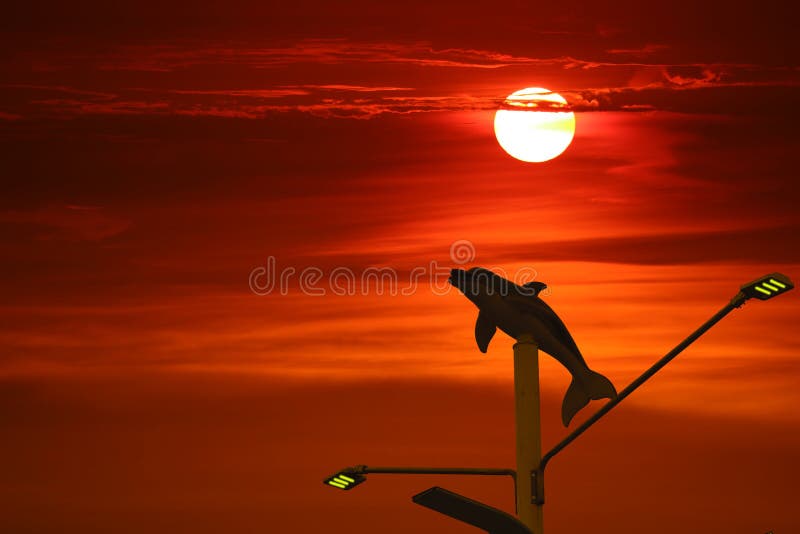 Blood Moon Back on Silhouette Dophin Pole Cloud on Sunset Stock Image ...