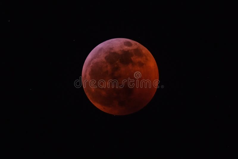 Blood moon stock photo. Image of cute, blood, moment - 144944850
