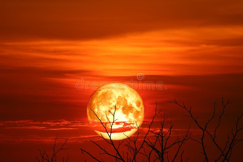 Blood Moon Falls on Surface Sea and Shadows Branche Tree Stock Photo ...