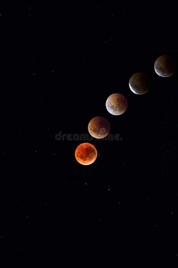 Blood moon stock image. Image of world, stages, moon - 133053545