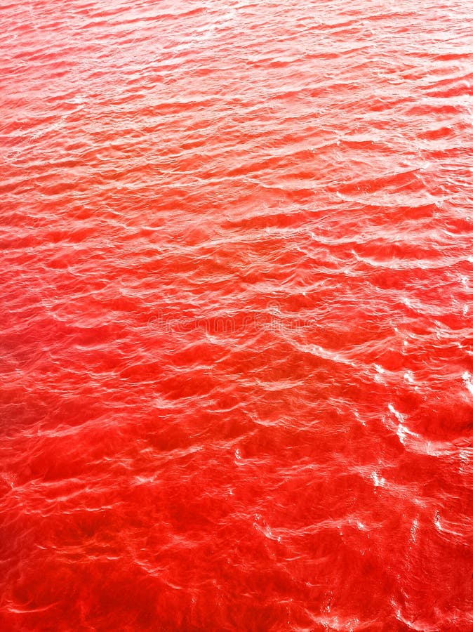 A Blue Ocean Seascape stock image. Image of shining, ocean - 1726601