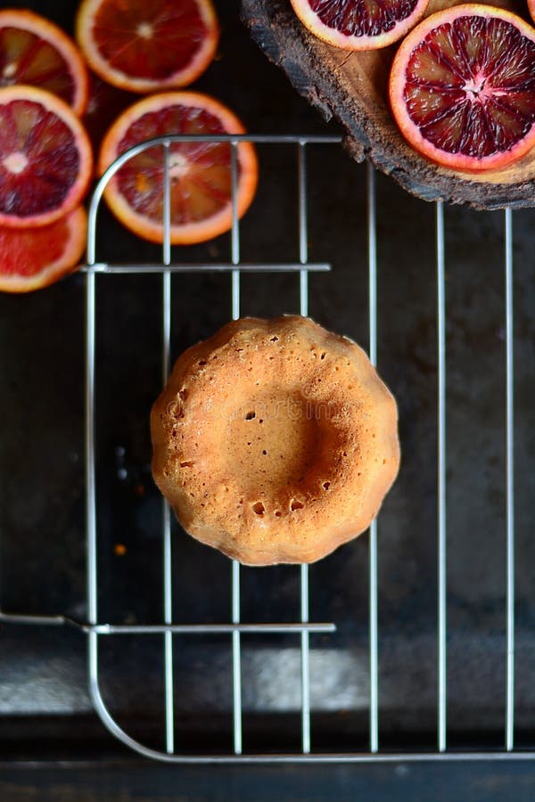 Blood Orange Sponge Cake stock image. Image of cream - 68099707