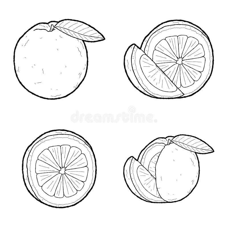 Blood Orange Web Icons/Buttons Stock Illustration - Illustration of ...