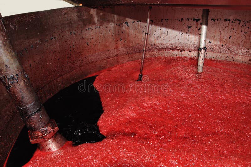 Blood for processing stock photo. Image of factory, offal - 39337506