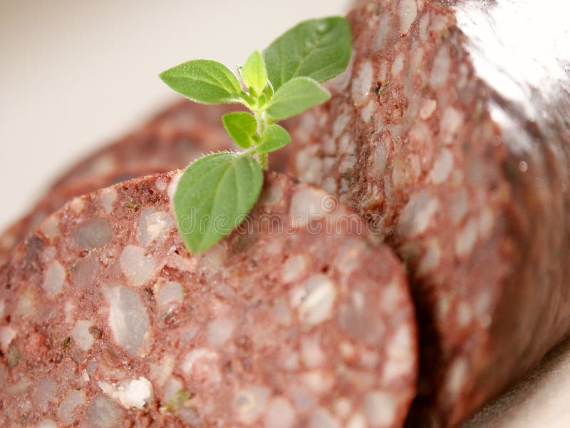 Oregano stock image. Image of grown, herb, white, italian - 7869775