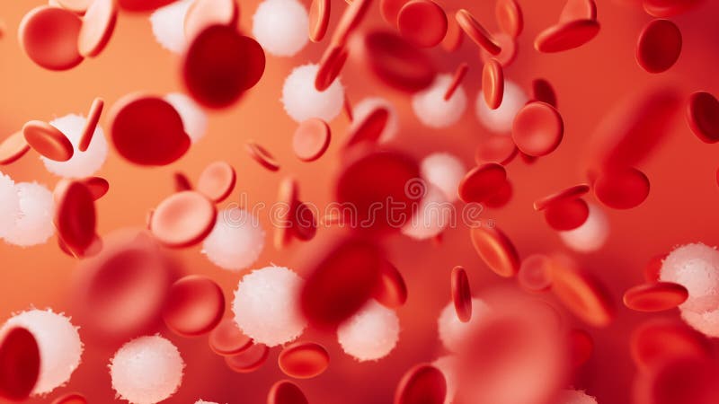 Blood and Red Blood Cells, 3d Rendering Stock Video - Video of micro ...