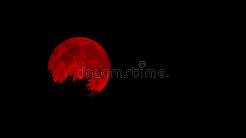 Blood red moon above trees stock footage. Video of bloody - 124072990