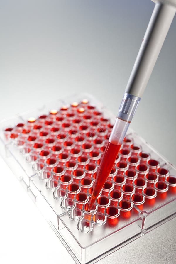 Blood Sample Research Pipette and Cell Plate Stock Image - Image of ...