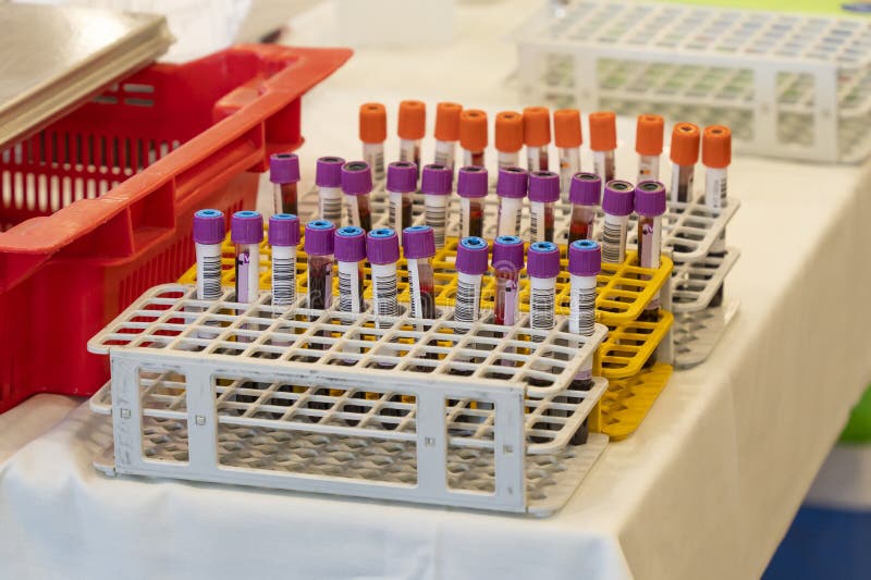 Blood Sample Tubes at a Blood Donation Stock Photo - Image of ...